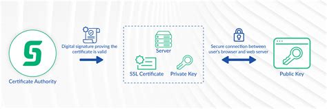What Is A Certificate Authority Ca Sectigo® Official