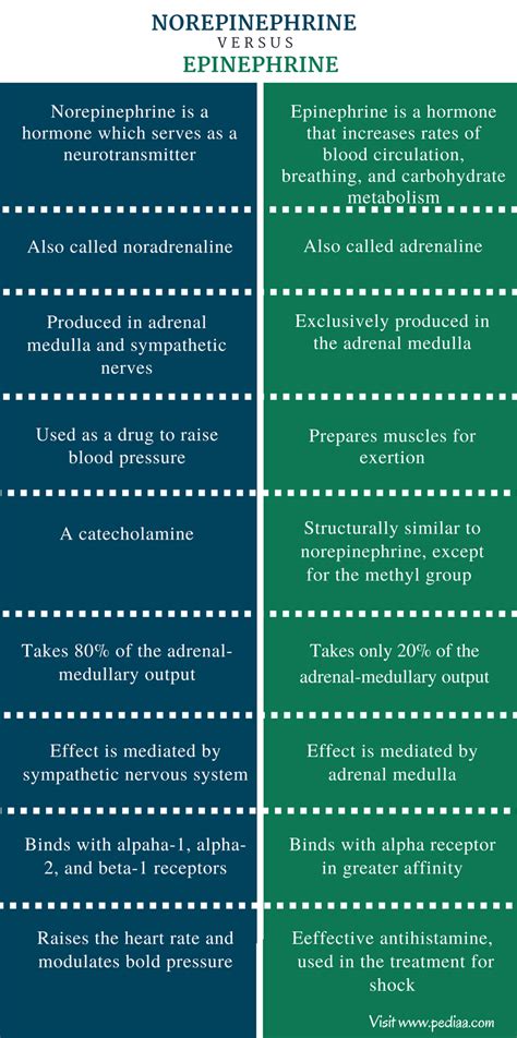 Difference Between Norepinephrine And Epinephrine Definition