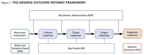 How To Catalyze A Collaboration