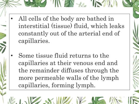 Solution Lymphatic System Structure Function And Facts Studypool