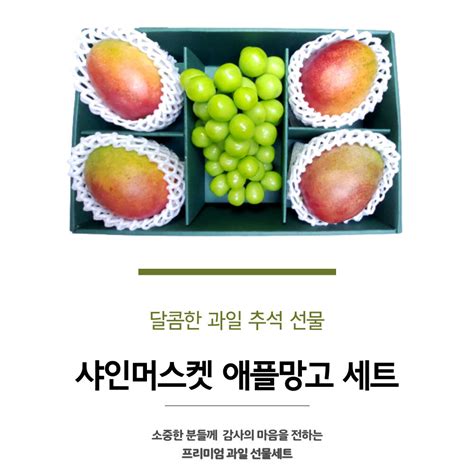 현대장터 추석과일선물세트샤인머스켓and애플망고 세트