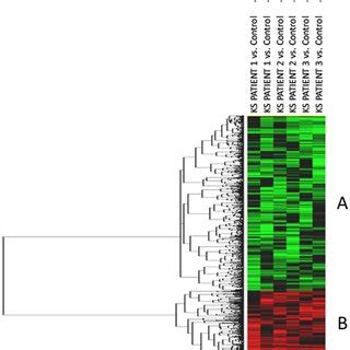 Unsupervised Hierarchical Clustering Of Significant Genes The Heatmap