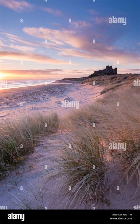 Sunrise Over Bamburgh Beach And Castle From The Sand Dunes