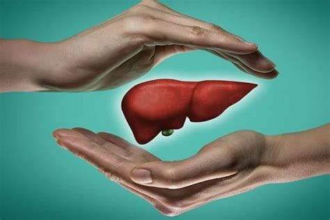 लीवर सिरोसिस है साइलेंट किलर अंतिम स्टेज में दिखाई देते हैं इसके लक्षण अनप्रोडेक्टेड Sex समेत