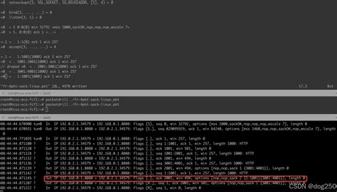 再来看 Tcp D Sack Csdn博客