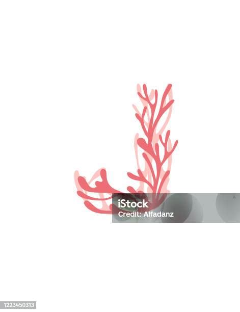 편지 J 핑크 색 해초 수중 바다 식물 바다 산호 요소 흰색 배경에 평면 벡터 일러스트 알파벳 J에 대한 스톡 벡터 아트 및