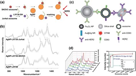 A Schematic Diagram Of Selective Sers Detection Of Evs Derived From