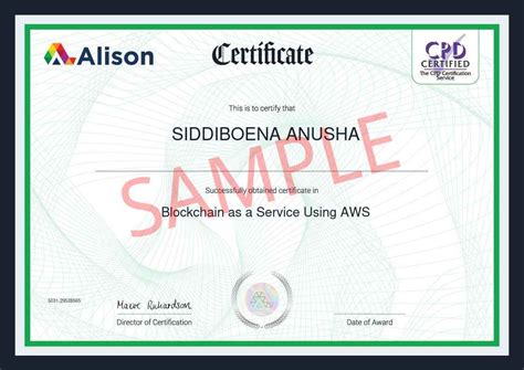 siddiboena anusha on linkedin aws blockchain completion