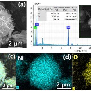A SEM Image B EDS Spectrum And C G Elemental Area Mapping Of Download Scientific