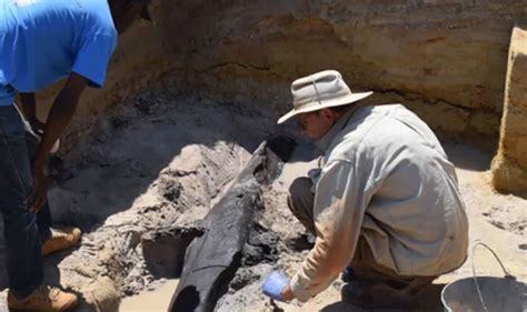 Archaeologists Make Extraordinary Discovery That Has No Known Parallels In History Science
