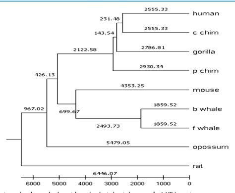 Figure 3 From Mathematical Approach To Protein Sequence Comparison Based On Physiochemical