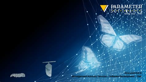 Parameter Softwares Pvt Ltd Linkedin