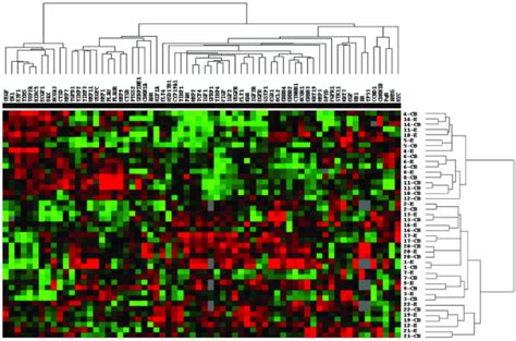 Unsupervised Hierarchical Clustering Of Paired Core Biopsy And Surgical