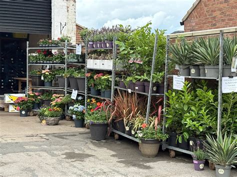 Rafters Discover Driffield