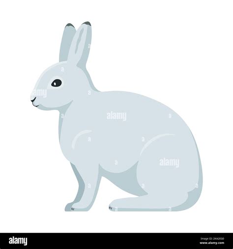 Arctic Hare Cartoon