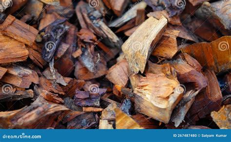 Cuts Of Wood Image Hd Stock Photo Image Of Worker Material