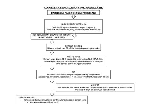 Algoritma Penanganan Syok Anafilaktik Pdf
