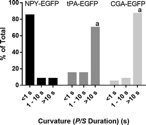 Fusion Pore Lifetime Varies Depending On The Overexpressed Lumenal