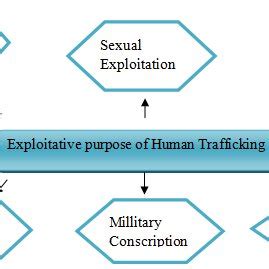 Flow Chart Of Human Trafficking Download Scientific Diagram