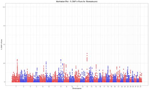 manhattan plot of the snp frequency within runs of heterozygosity by