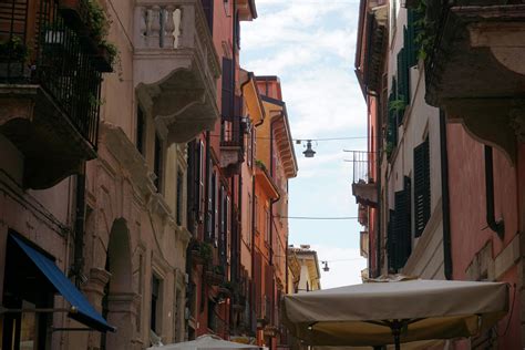 Windows Cat Wallpaper Photos Download The Best Free Windows Cat