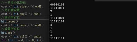 c 必修：bitset的用法与实现 c bitset csdn博客