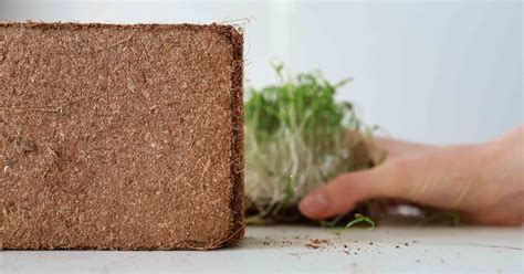Coco Coir Growing Medium Coconut Coir MP SEEDS