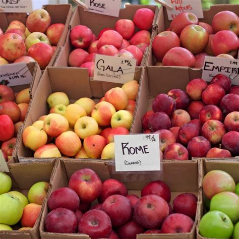 Ojai Pixie Tangerines A Citrus Lovers Treasure Butter N Thyme