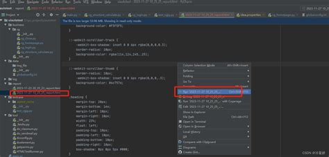 idea webstorm打开报错：the file is too large xx xx mb showing in read only mode 这样的处理 csdn博客