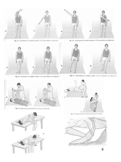 Imagenes Fnp Pdf