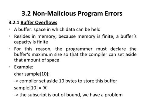 Chapter 3 Program Security Ppt Download