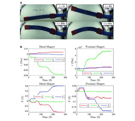 A Initial And Time Evolved Configurations B Applied Torques Download Scientific