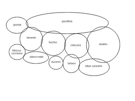 Types Of Spheres Diagram