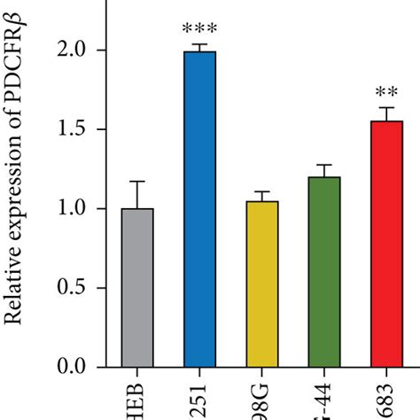 Differential Expression Of Pdgfrβ In The Clinical Tissue Samples And Download Scientific