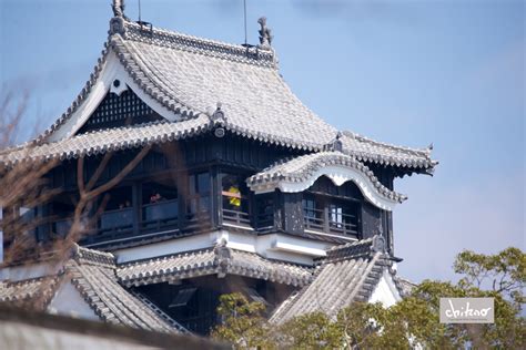 2016 Kumamoto Earthquake Hit Kumamoto Pref On Behance