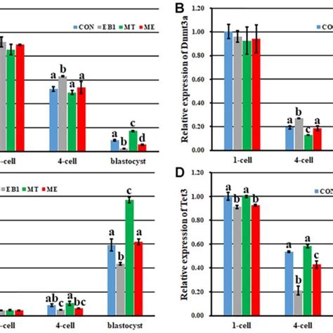 Effect Of Melatonin On The Expression Of Antioxidant And Apoptosis