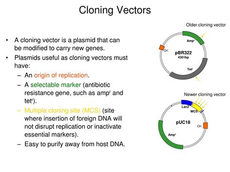 Cloning Definition
