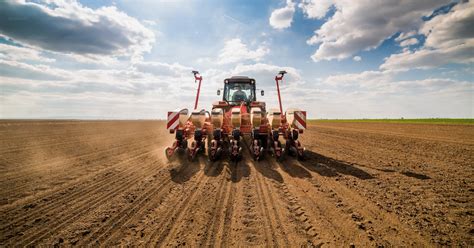 농부 파종 밭에서 작물 파종 파종은 이른 봄철 농업 활동의 일환으로 땅에 씨앗을 심는 과정입니다 사진 Unsplash의