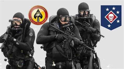 Marsoc Marine Raiders Marine Special Operations Command Marine