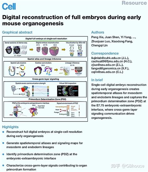 全球首次！《cell》刊登：中国多团队联合构建单细胞精度三维数字胚胎，破解心脏发育机制 知乎