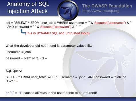 Injection Flaws Owasp