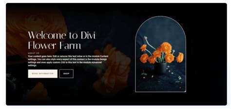 How To Style An Image In Your Divi Fullwidth Header Module Divimode