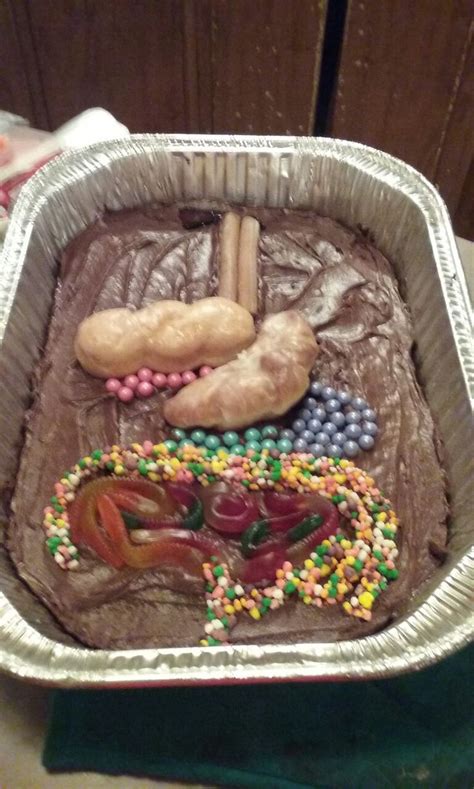 Edible Digestive System Anatomy Project Digestive System Human