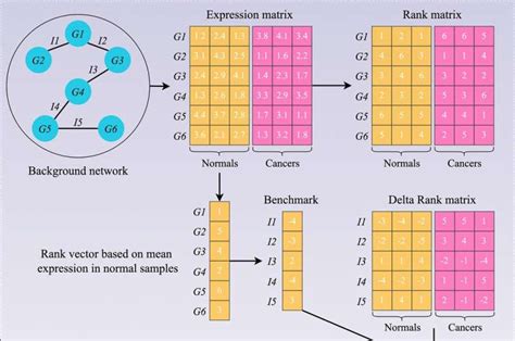 Gene Interactions Classify Bowel Tumors For Personalized Medicine