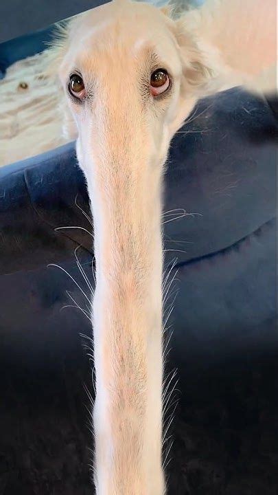 Пин на доске Lol