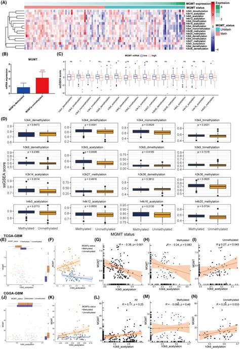 Identification Of Tmz Resistance‐associated Histone Post‐translational Modifications In