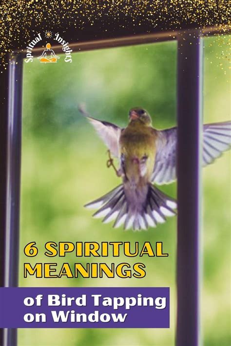 6 Spiritual Meanings of Bird Tapping on Window | Spiritual meaning ...