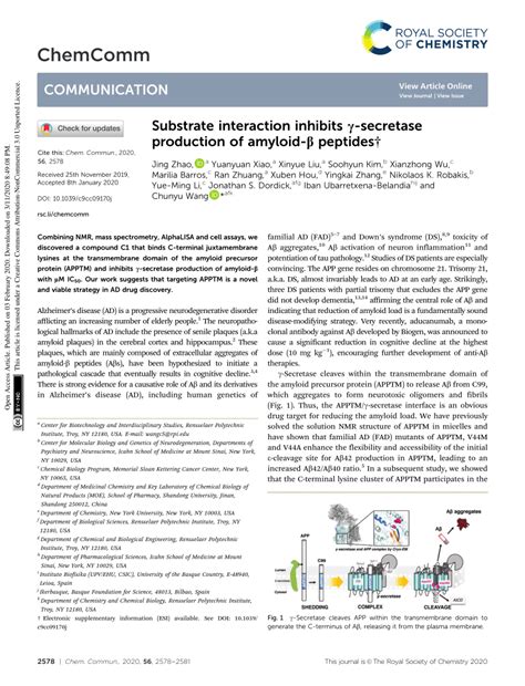 Pdf Substrate Interaction Inhibits γ Secretase Production Of Amyloid β Peptides
