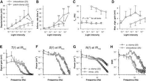 comparison of main parameters of signal processing in patch clamp and