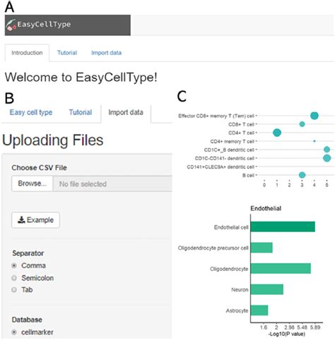 Overview Of The Shiny Application This Application Was Designed For
